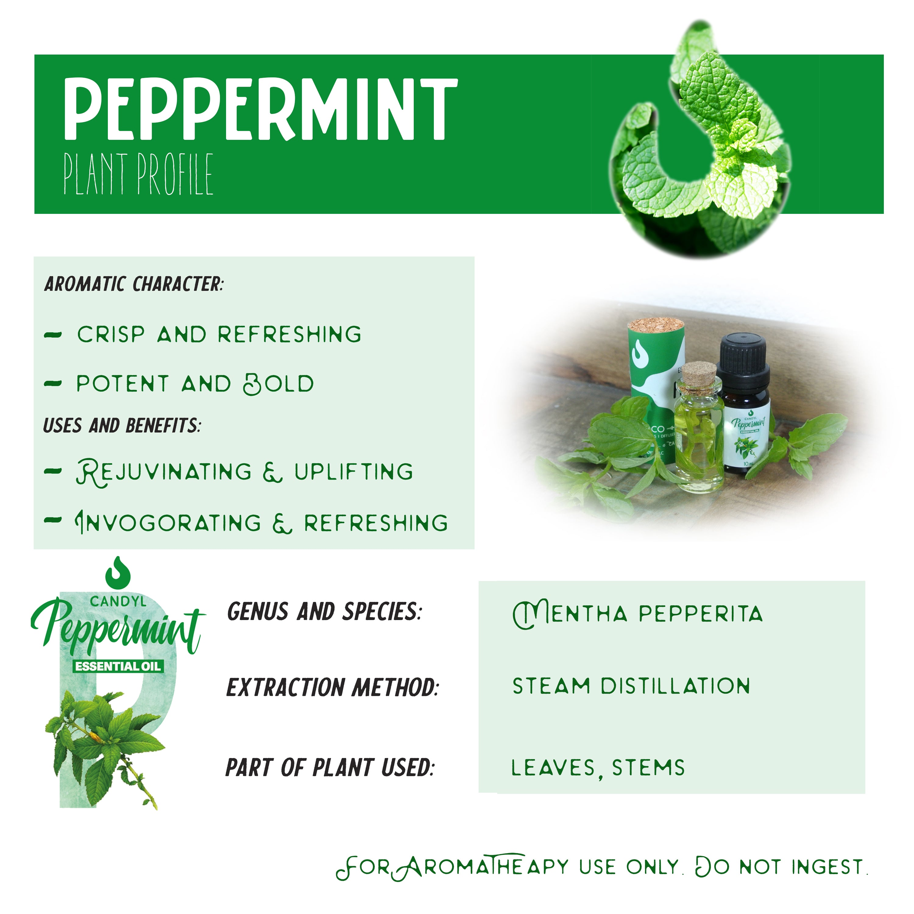 Peppermint Essential Oil – 10ml Bottle – RONNINGS